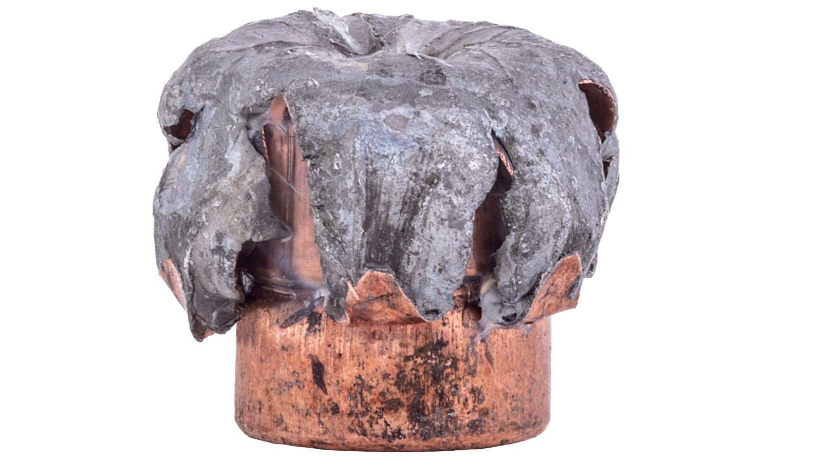 Rimfire Defender - SHOT Business