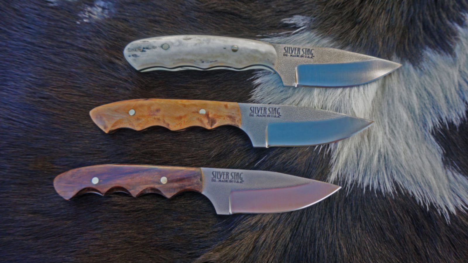 Silver Stag’s Hands-On Approach - SHOT Business